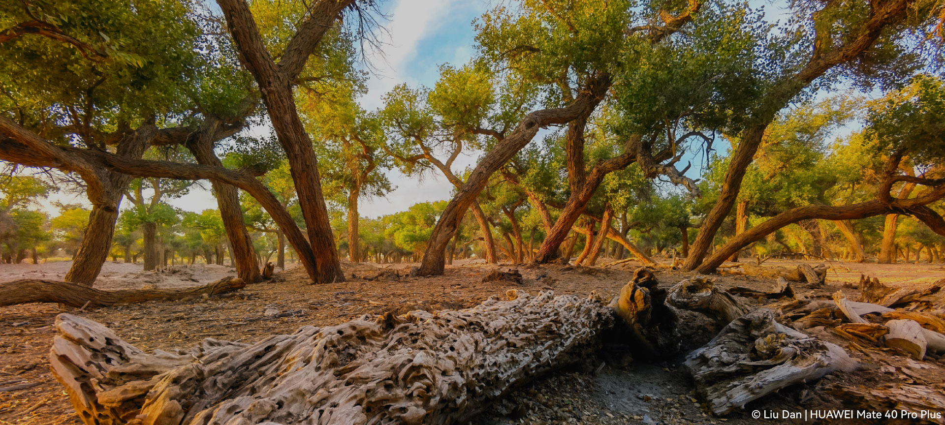 HUAWEI ScreenMagazine - HUAWEI Global