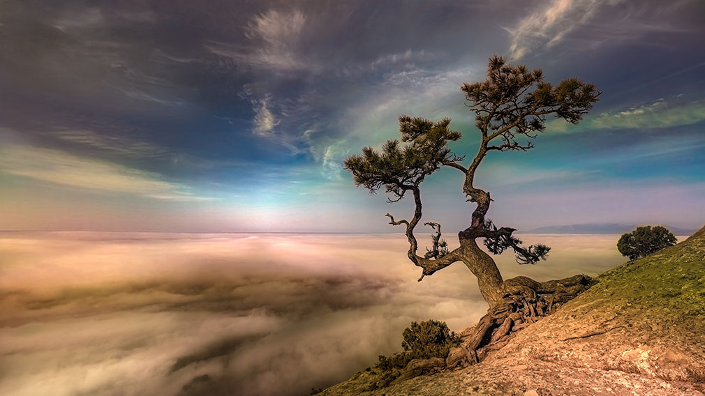 HUAWEI Móviles - HUAWEI Tienda Oficial