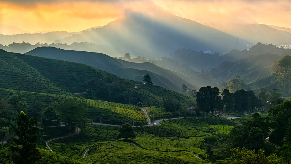 Compra HUAWEI Celulares丨Oferta exclusiva - HUAWEI Chile