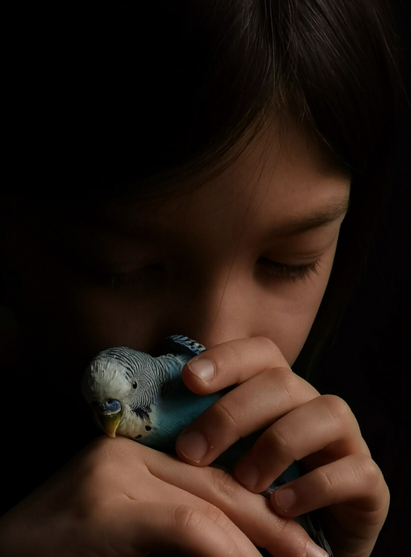 XMAGE Awards - HUAWEI Global