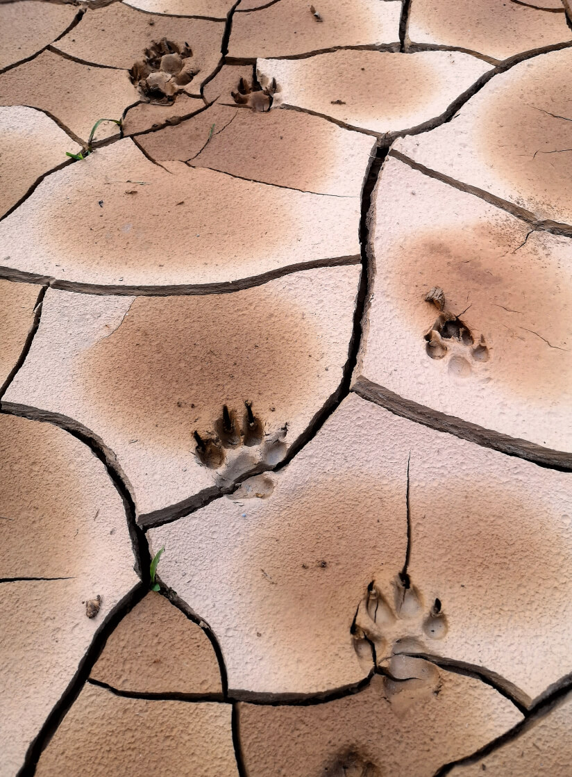 XMAGE Awards - HUAWEI Global