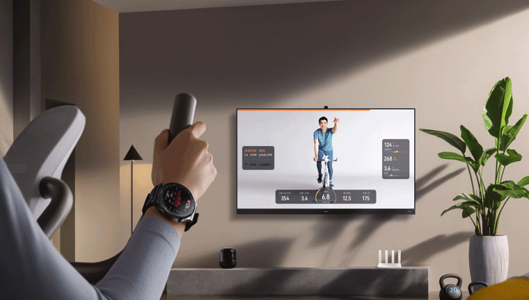 Поддержка HUAWEI Vision