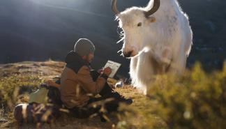 HUAWEI Notes - HUAWEI Global